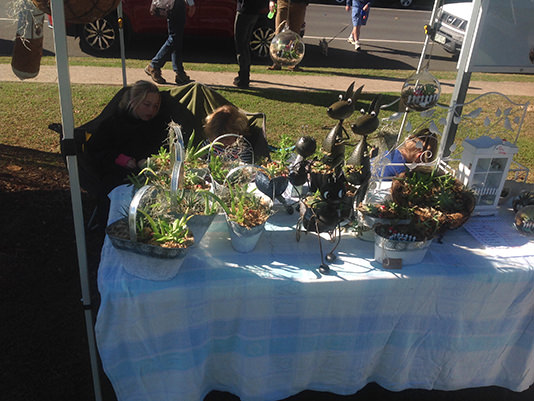 Killarney Archives - Southern Downs & Granite Belt