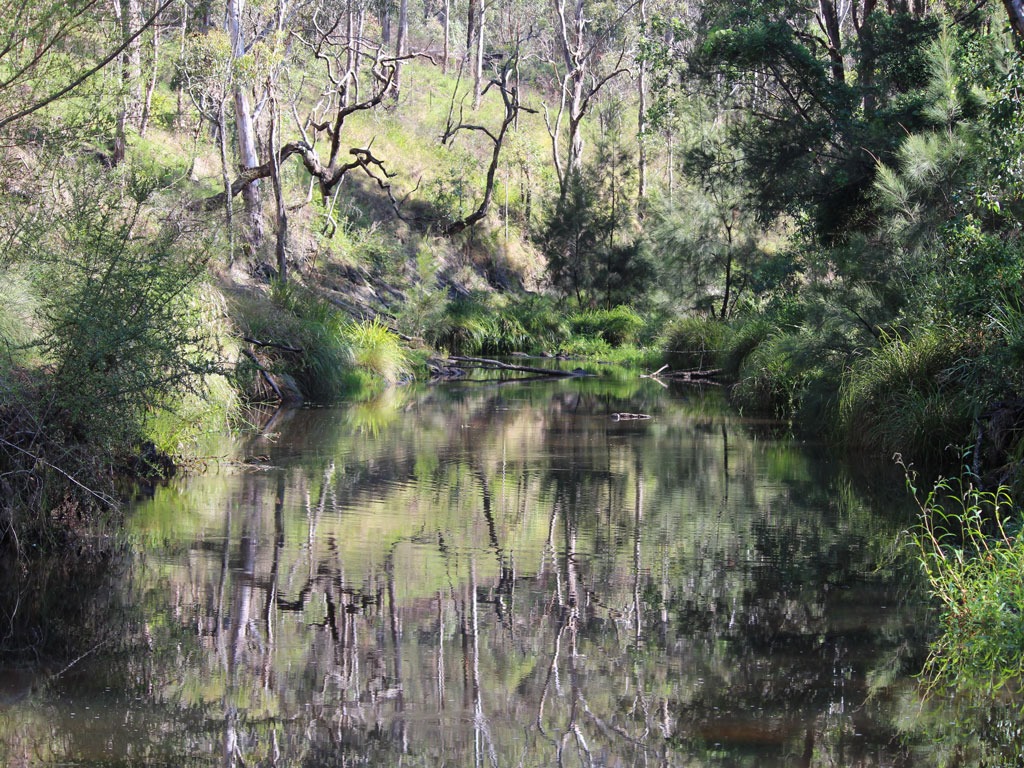 Tannymorel and Mt Colliery Mountain Bike Trail - Southern Downs ...