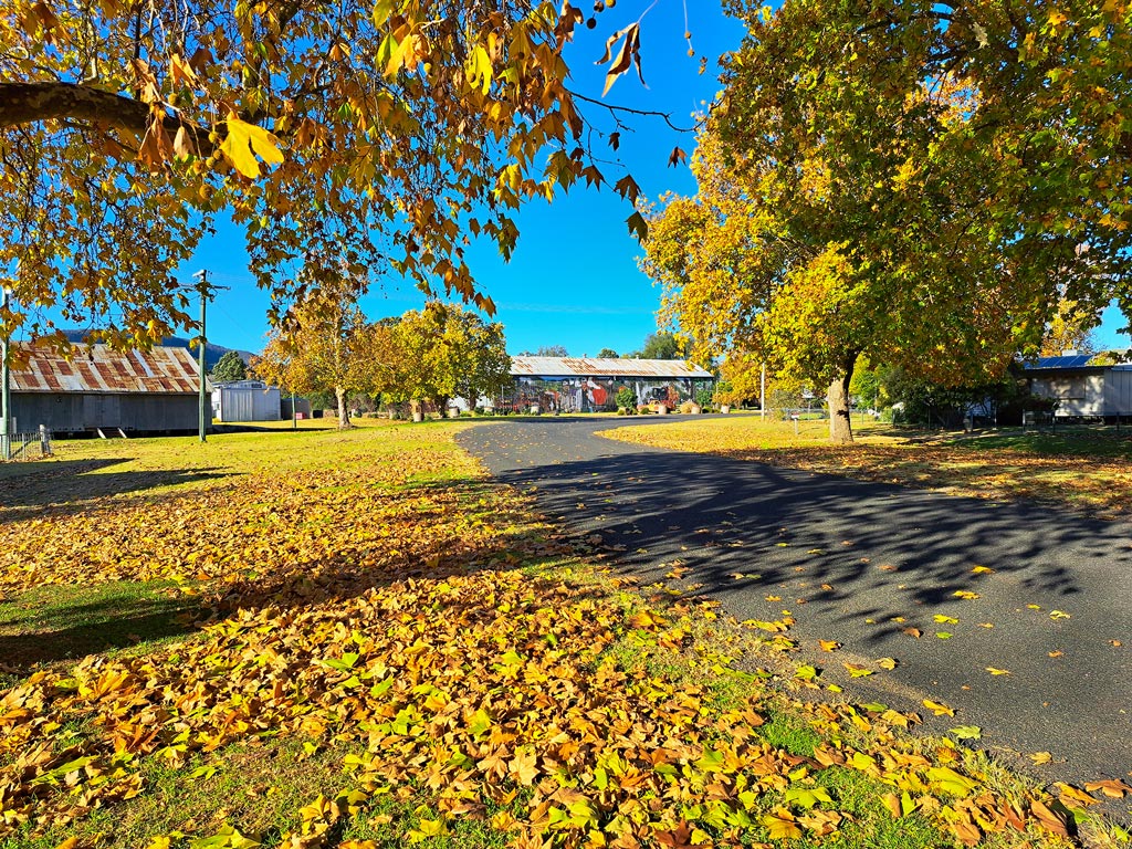 Tannymorel and Mt Colliery Mountain Bike Trail - Southern Downs ...